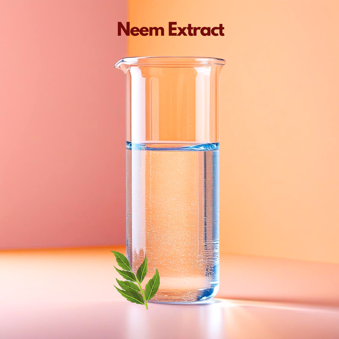 Neem Extract | Azadirachta Indica | Anti-Acne Herbal Ingredient ...