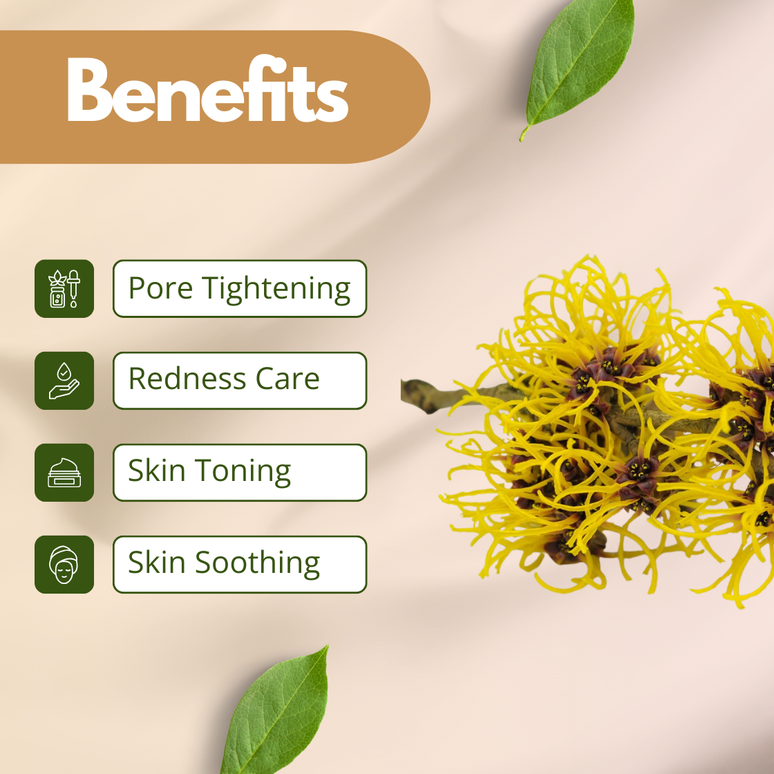 Witch Hazel Non-Alcoholic Extract | Natural Botanical Skincare ...